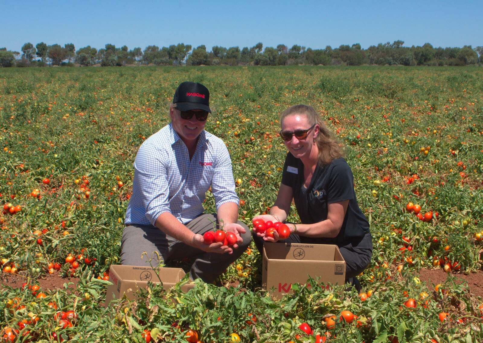 Pick a box and support mental health | Riverine Herald