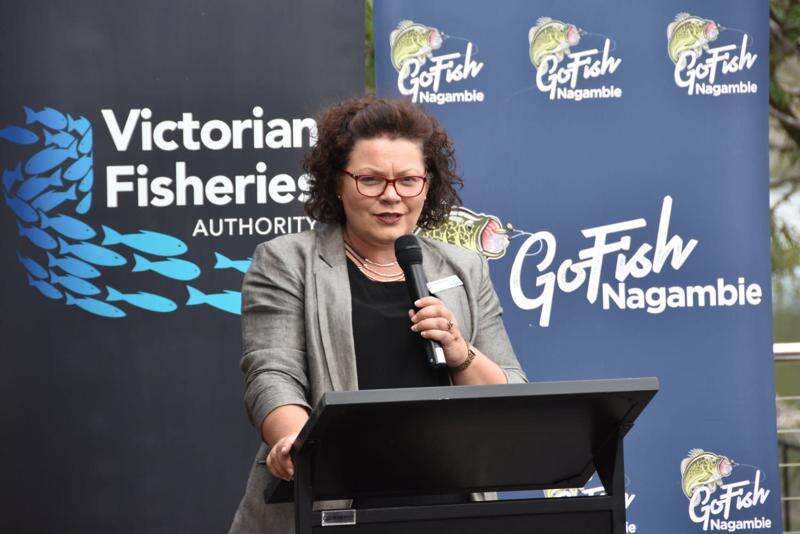 Have your say on Strathbogie Shire Council's draft budget | Seymour ...