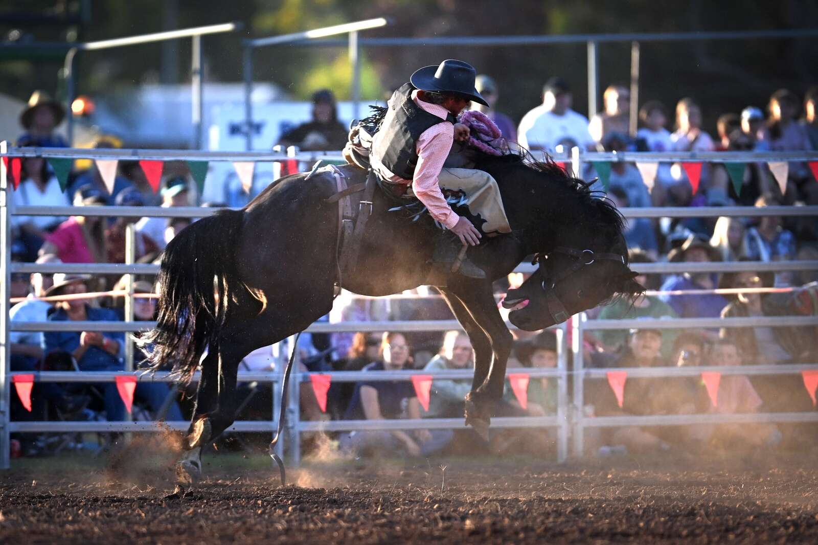 Record rodeo entries at Kyabram | Shepparton News