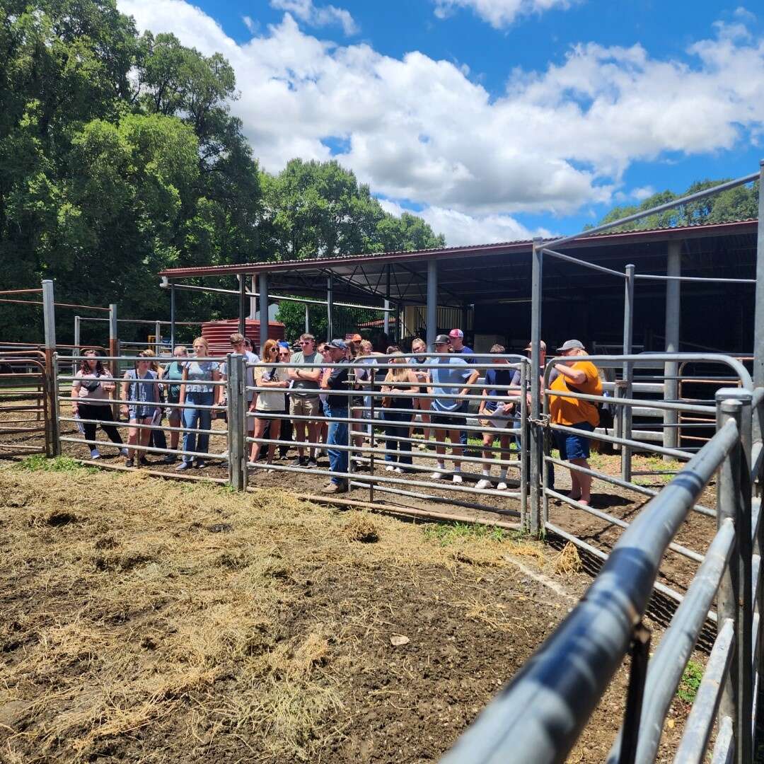 Riverina’s best on show for US young farm leaders | Dairy News Australia