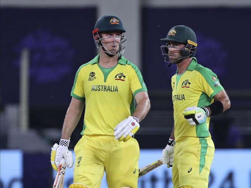 Maxwell, Marsh included in Aussie squad for ODIs | Dairy News Australia