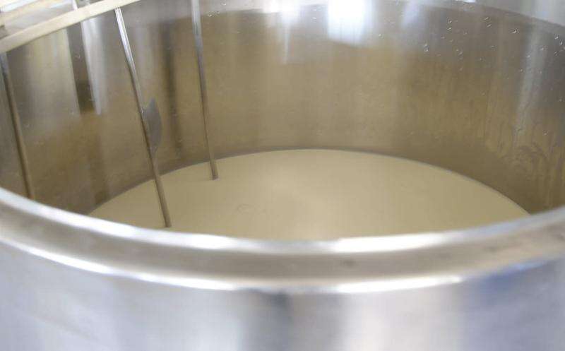 Call for standards in milk sampling | Dairy News Australia