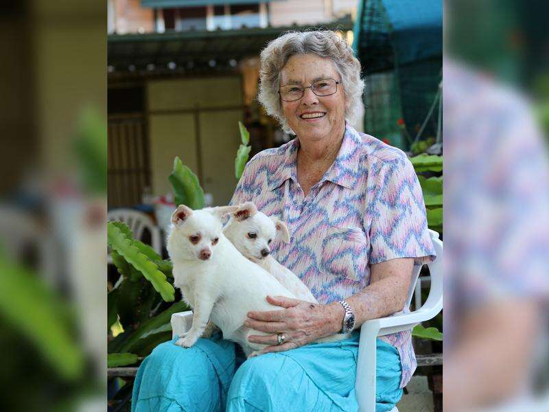 How horses, pumpkins and corn flakes made a bush legend | Shepparton News