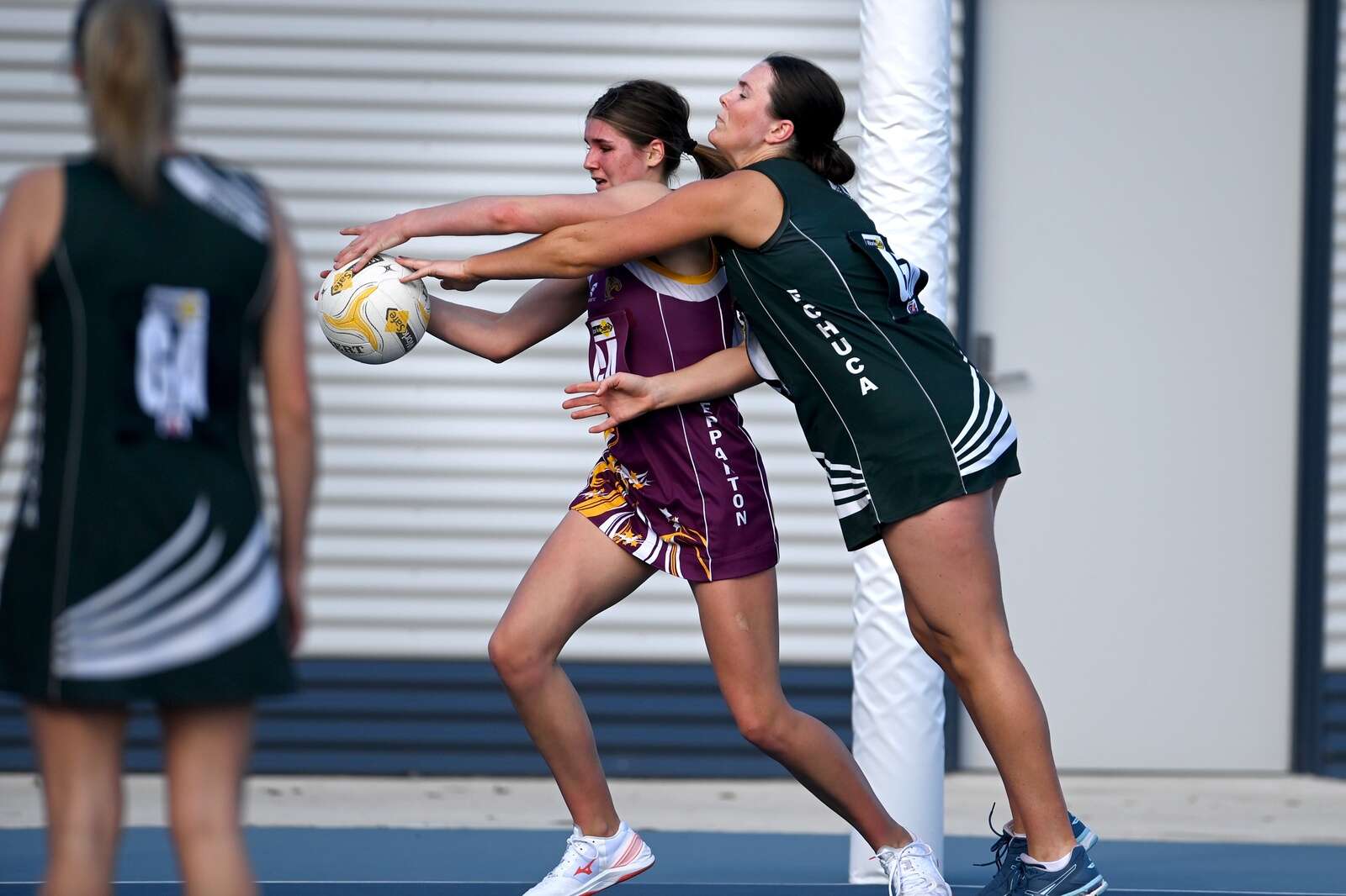 Bears B-grade barrels into big dance | Shepparton News