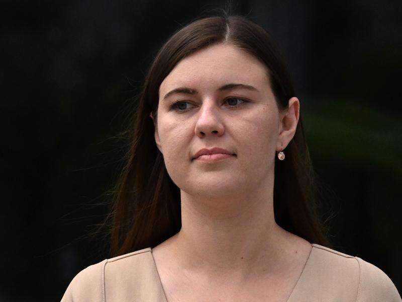 Higgins claims diary details leaked to the media | Country News