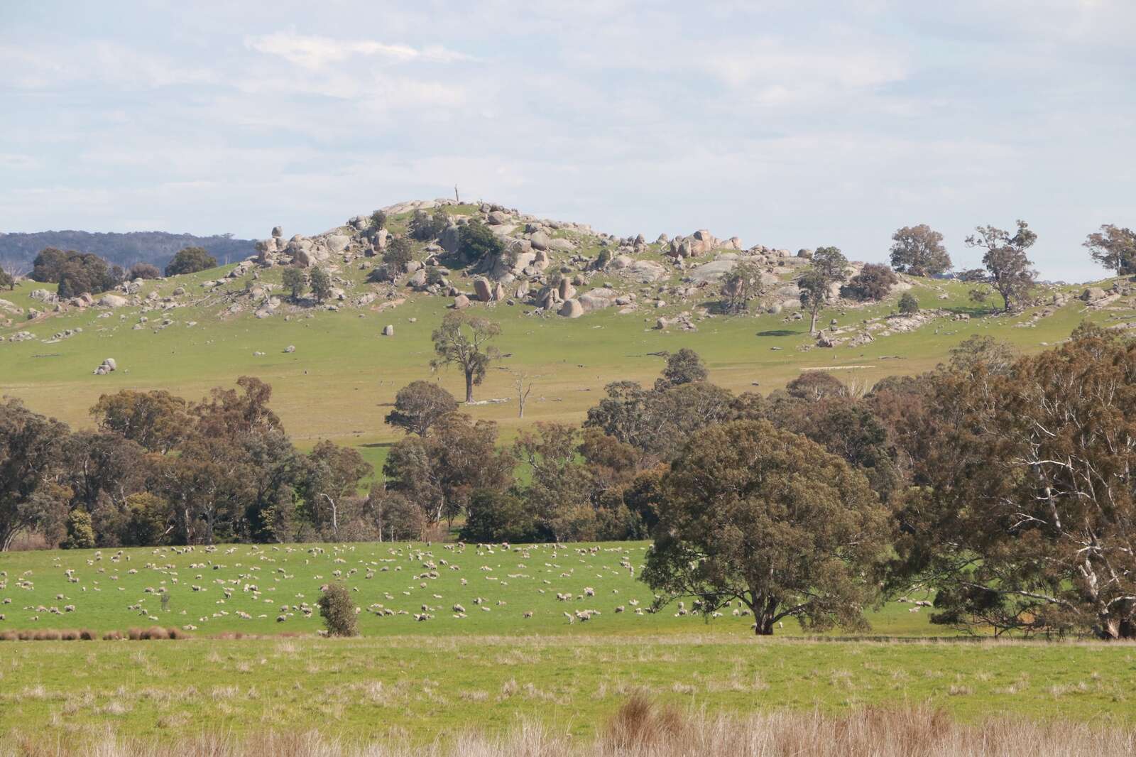 Strathbogie wind farm proposal opposition grows | Country News