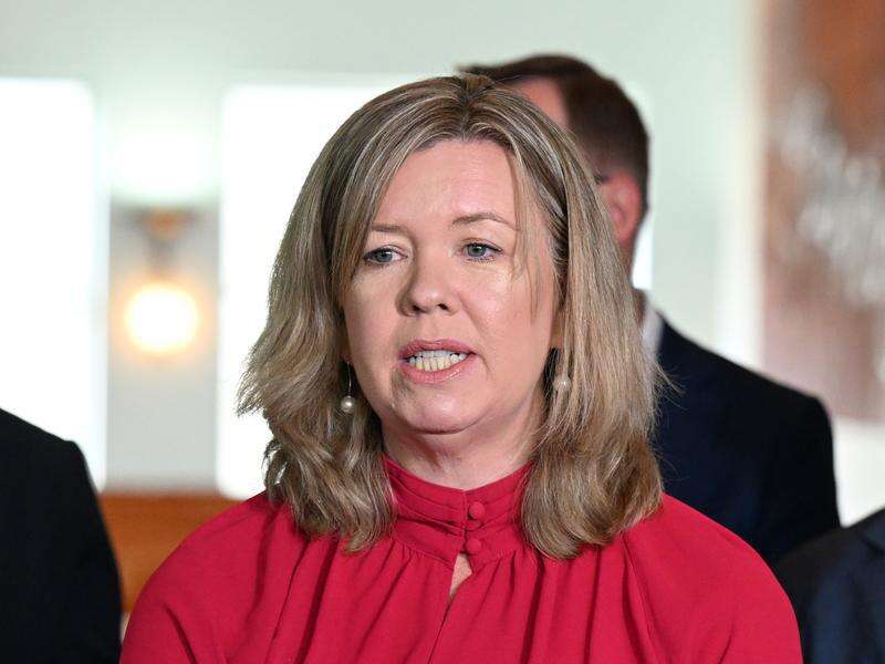 Dutton backs under-pressure Liberal MP Bridget Archer | Country News