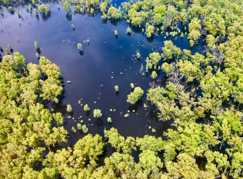 Floodplains restoration feedback sought | Country News