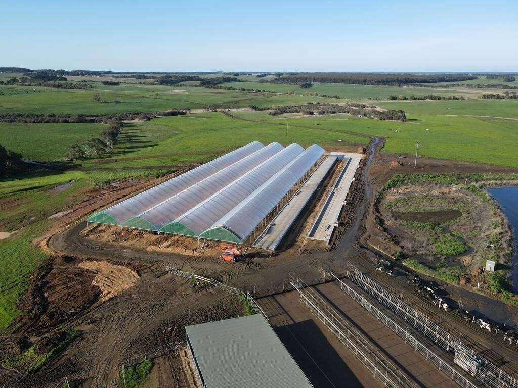 Focus Farm field days coming up | Dairy News Australia