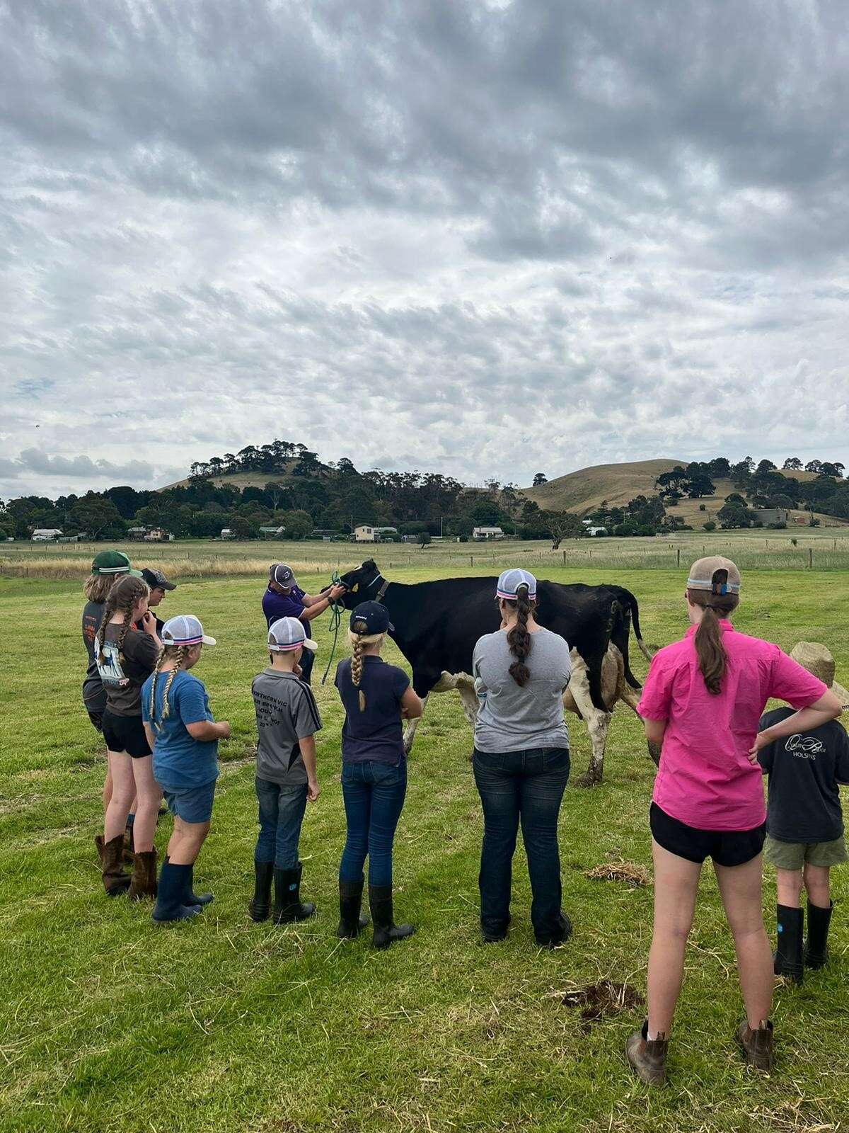 Youth cattle camp revived | Dairy News Australia