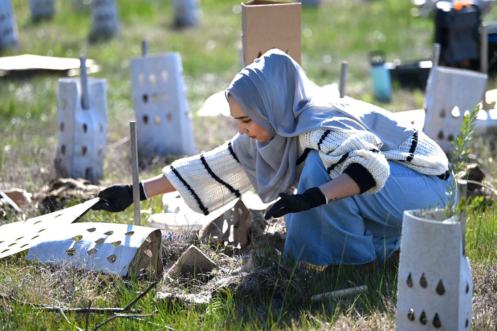 Green thumbs for a greener future | Country News