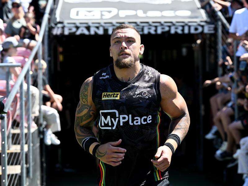 Panthers' Big Fish 'smashing everyone' from early days | Country News