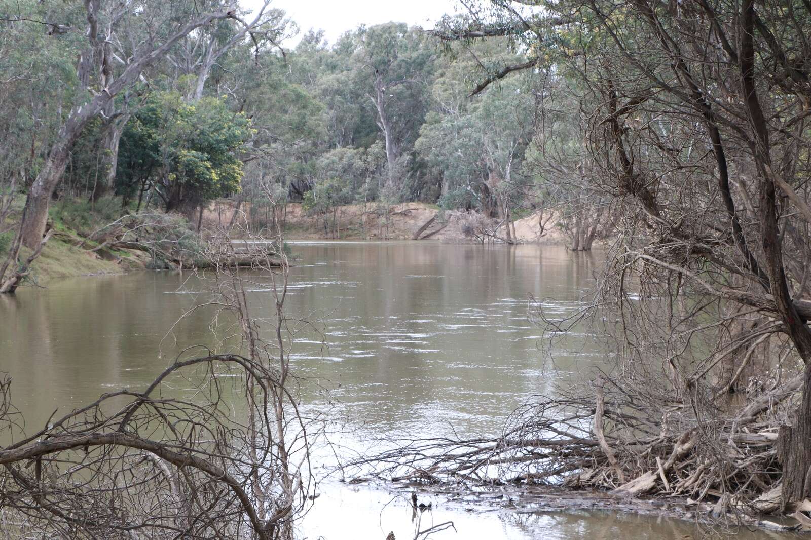 Water plan for Victorian rivers | Country News