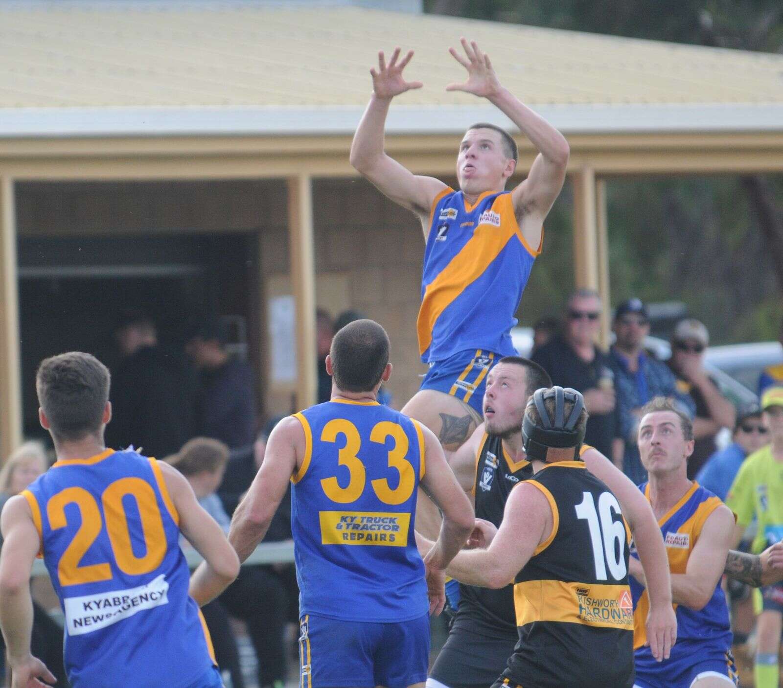 Jumping Wombat | Kyabram Free Press