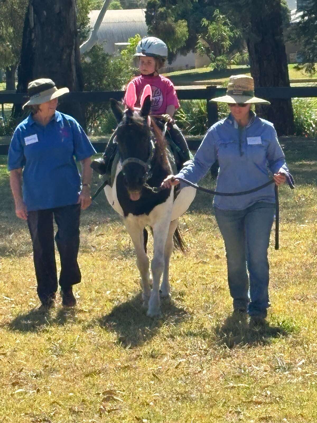 Horseback heroes: Seymour's volunteer-powered joy | Seymour Telegraph