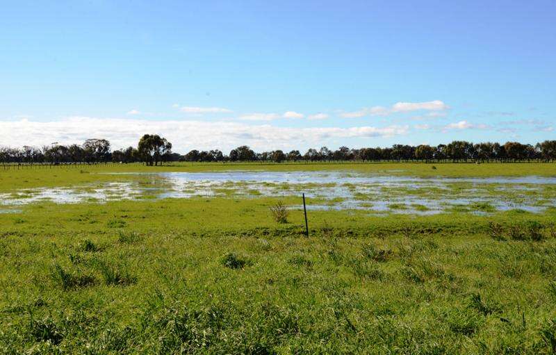 Tackling wet seasonal conditions | Country News