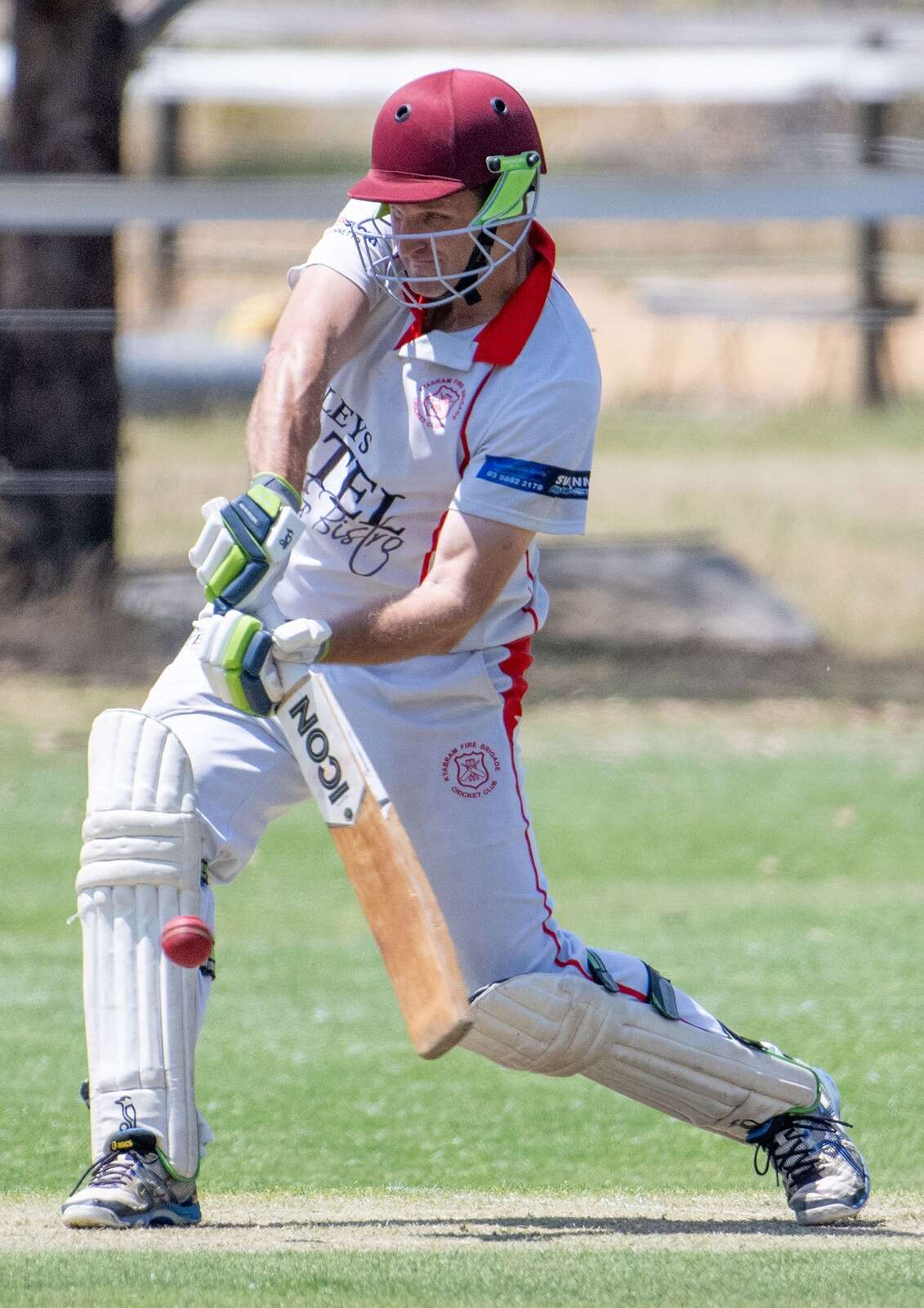 New bat works a treat for Newman | Shepparton News