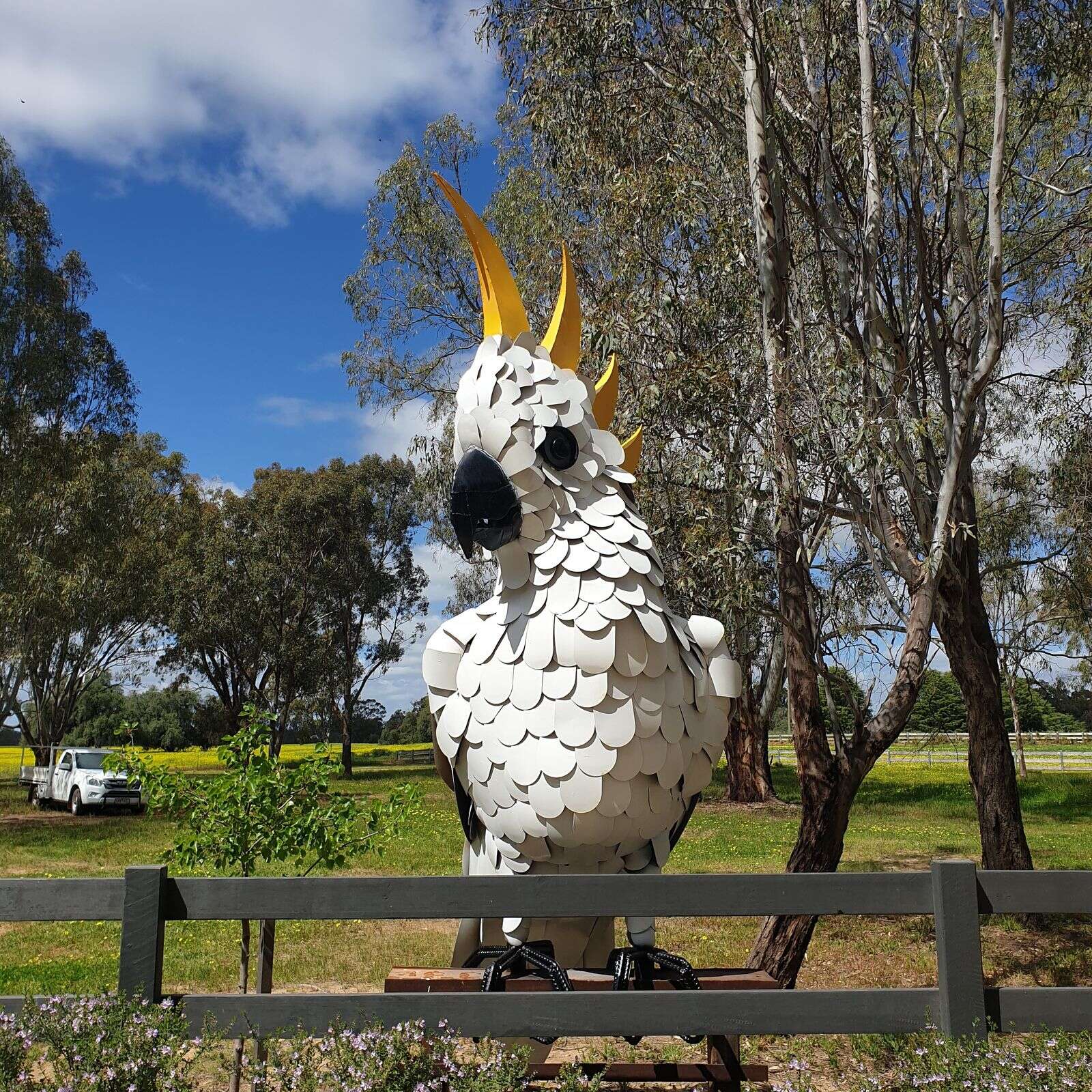 Murray River Bird Trail kicks off | Dairy News Australia