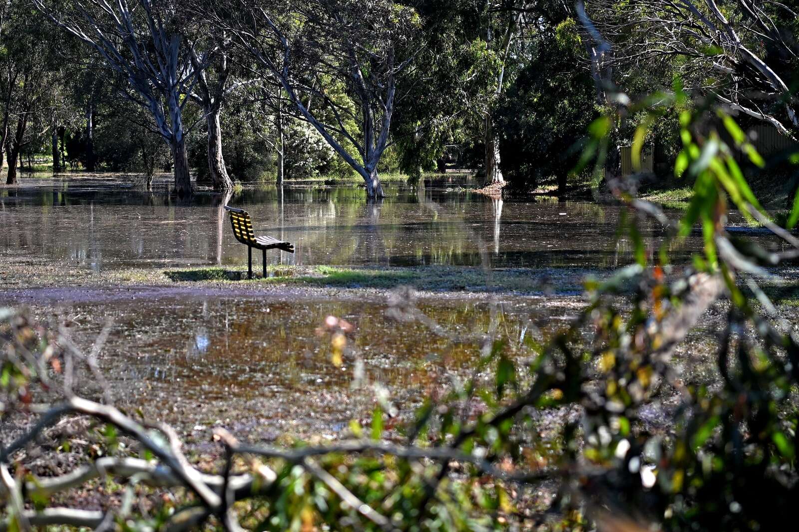 Shepparton records slightly cooler December | Shepparton News