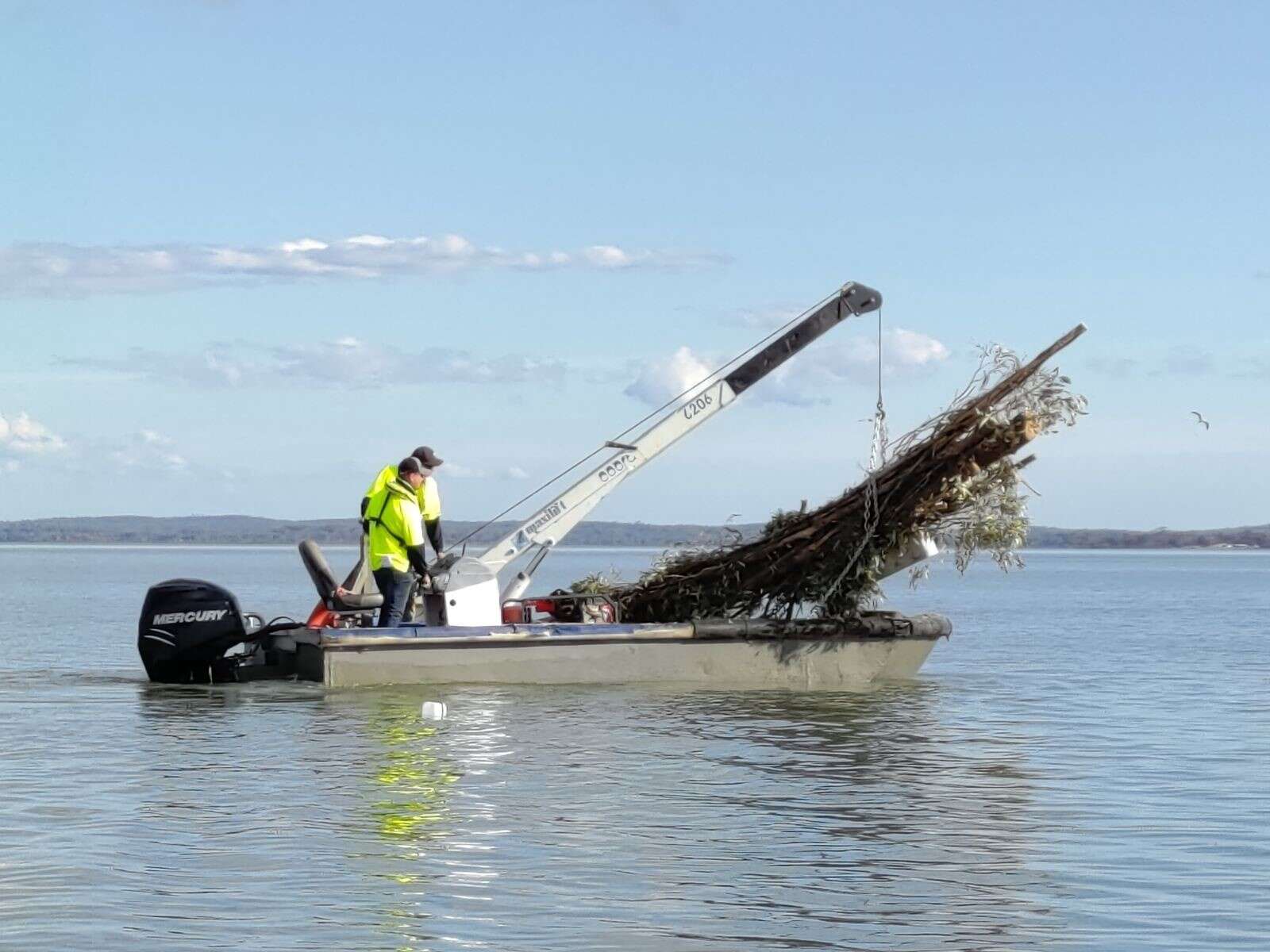 Golden habitat for perch at Waranga Basin | Seymour Telegraph
