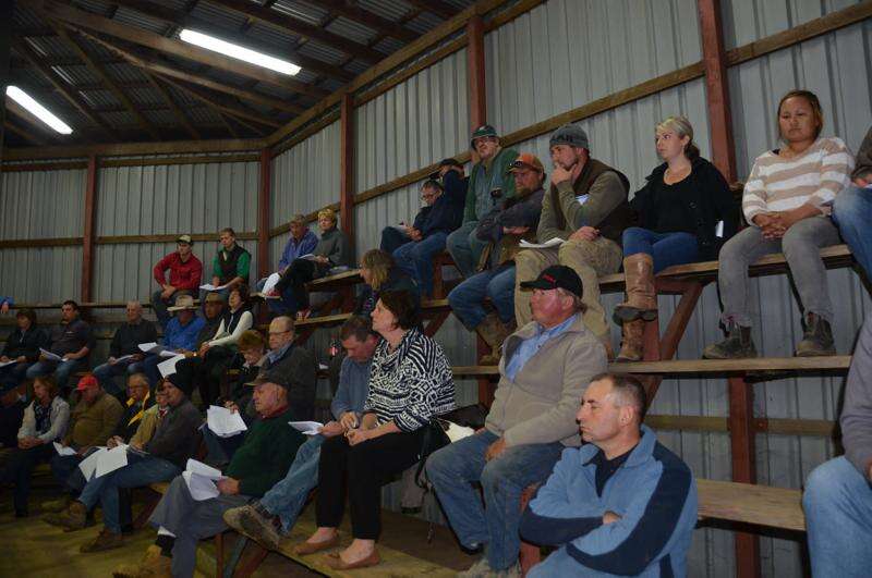 Access restricted to Shepparton Regional Saleyards | Country News