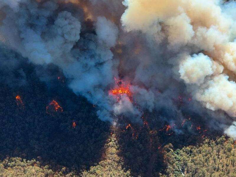 Bushfire that razed three homes flares up | Kyabram Free Press