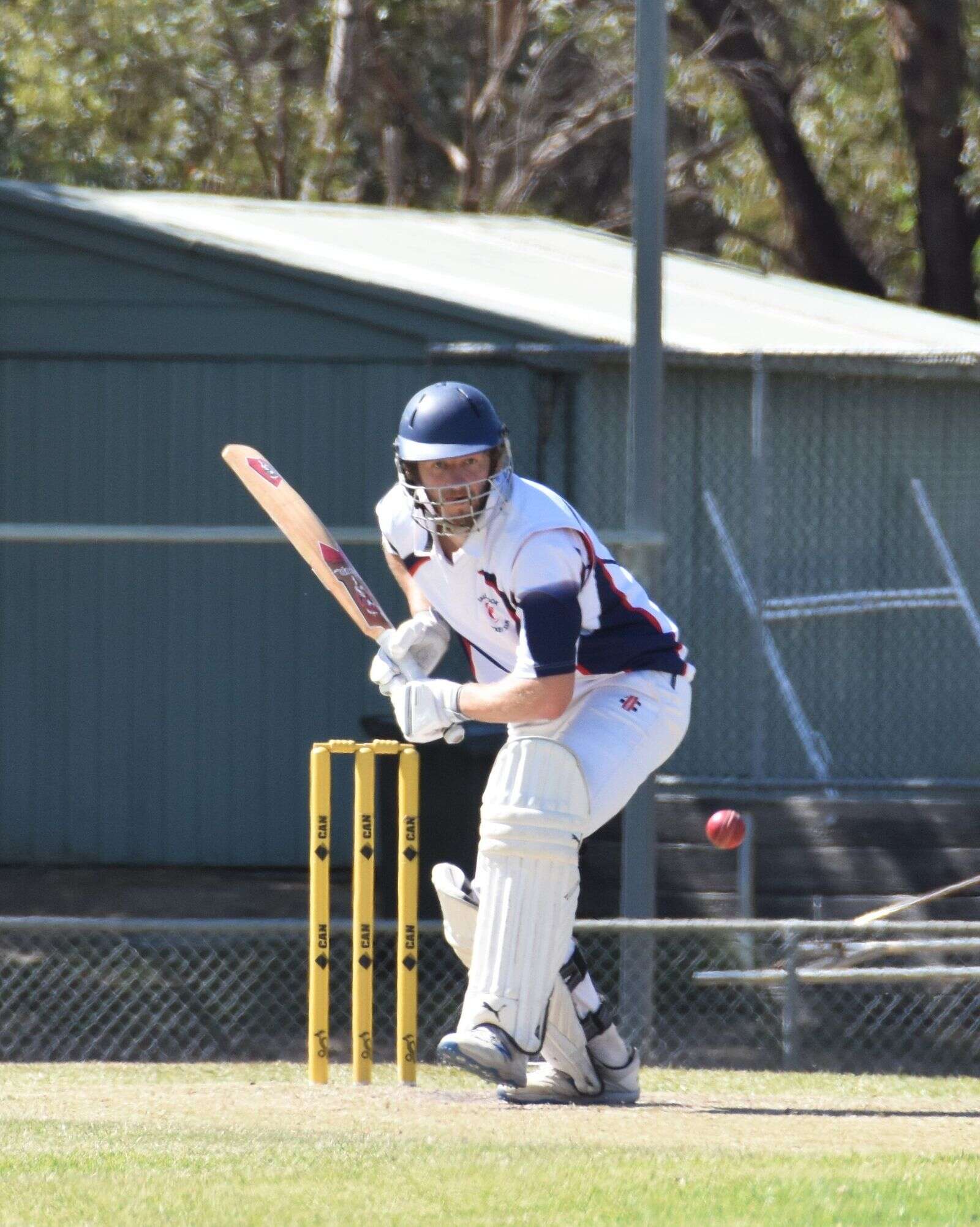 Tallarook dominates Tigers | Seymour Telegraph