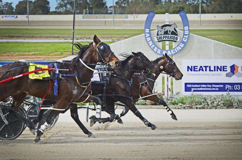 Gallery - Action from Shepparton Harness Racing Club's July 11 meeting ...
