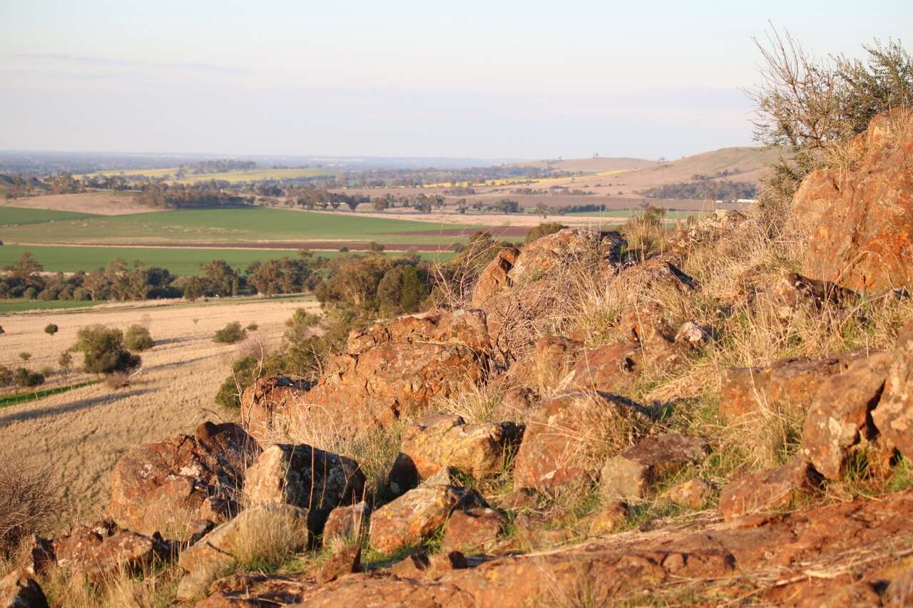 Minister questioned on Dookie energy zone | Deniliquin Pastoral Times