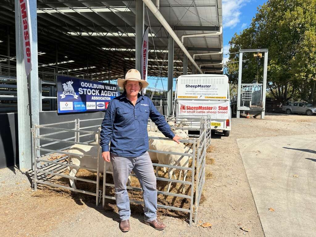 Showing off their sheep | Shepparton News