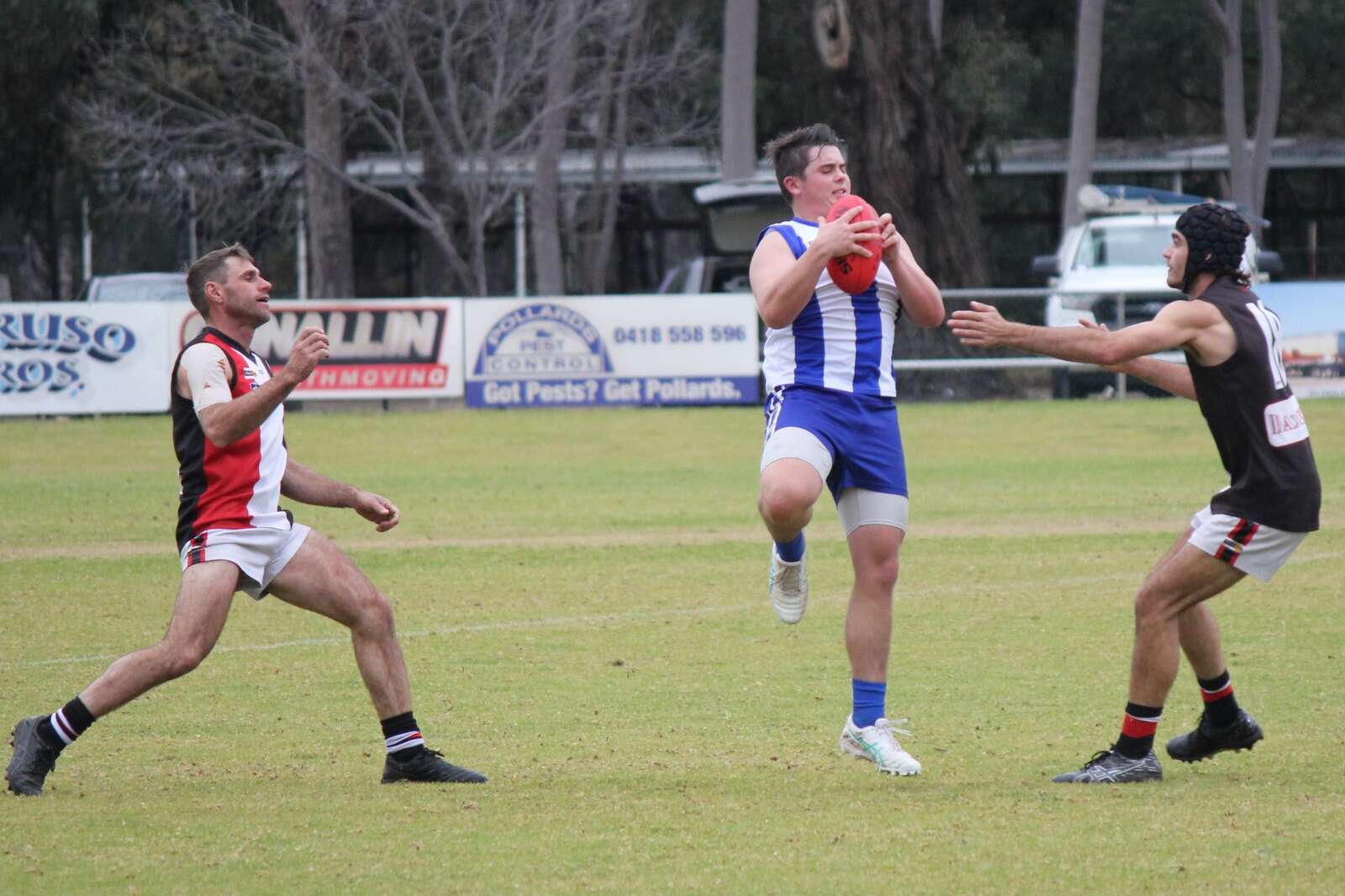 Rovers bounce away across grades | Deniliquin Pastoral Times