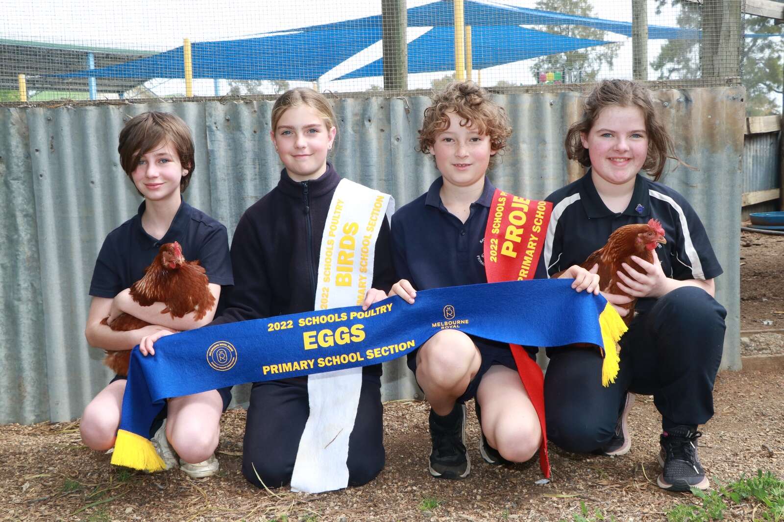 Chooks crack show awards | Country News