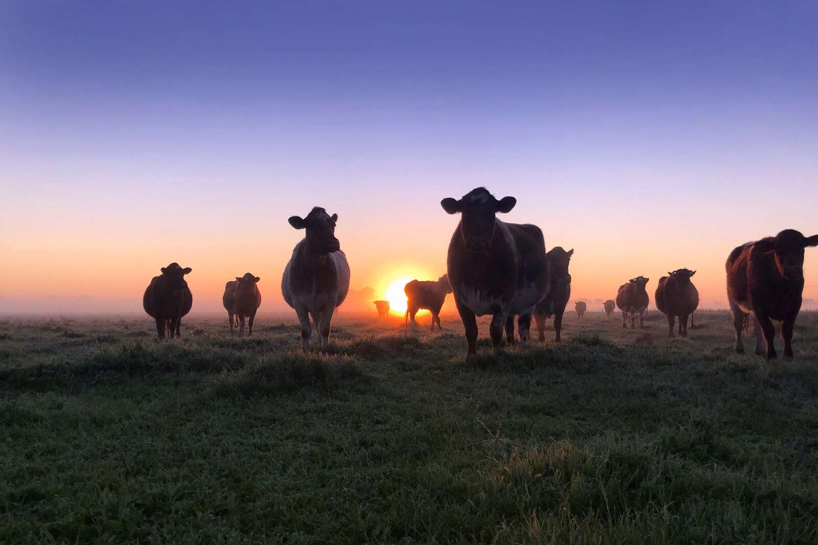 New dawn for Eden Farm | Shepparton News