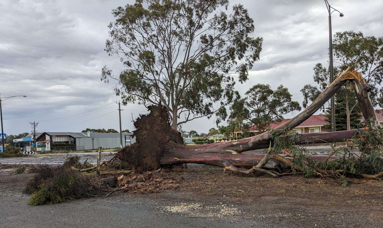 Shepparton storm causes widespread damage | Shepparton News