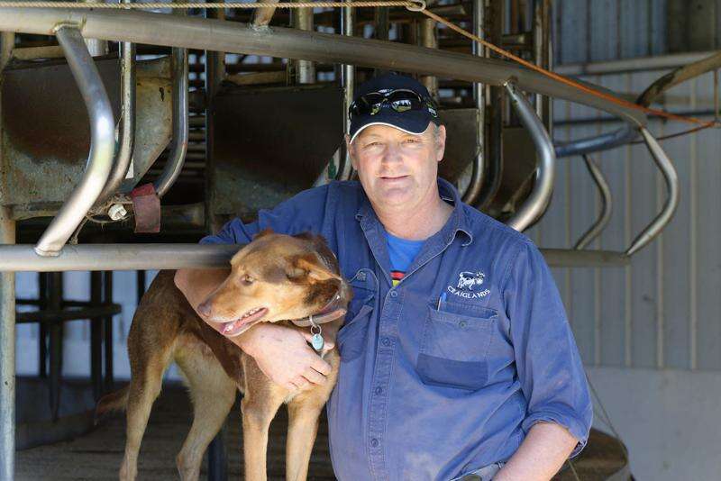 Fourth generation dairy farmer UDV's new second-in-command | Dairy News ...