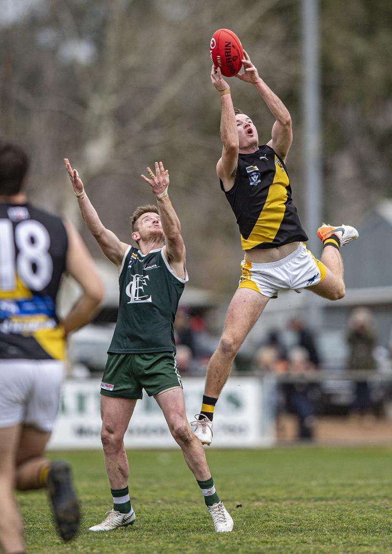 Echuca a bridge too far for brave Tigers | Shepparton News