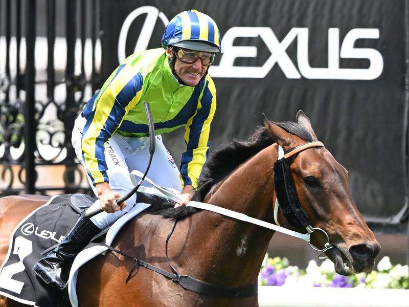 Damien Oliver steers Kalapour into Melbourne Cup field | Benalla Ensign