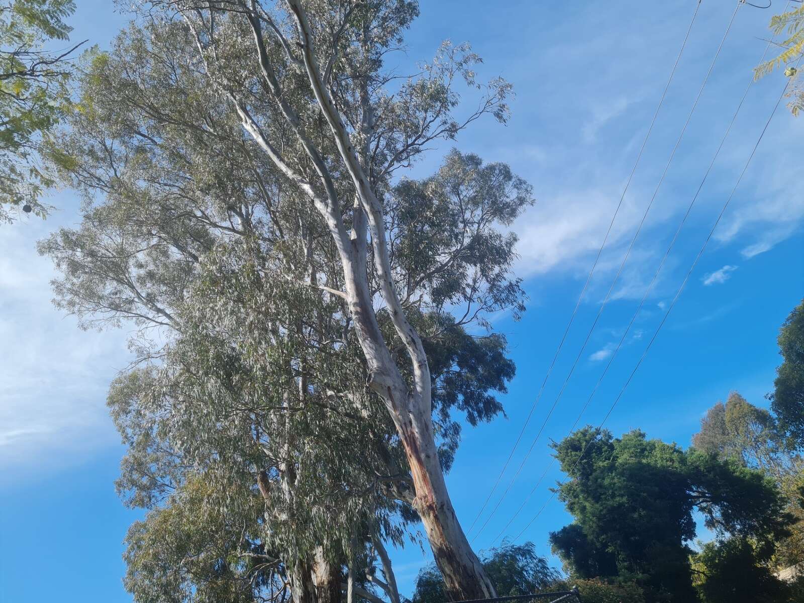 My Word | Art of walking in a mighty wind | Shepparton News