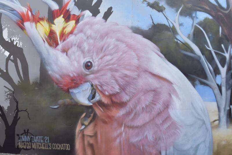 GALLERY: The Kyabram Goulburn Valley Water Tank mural | Kyabram Free Press