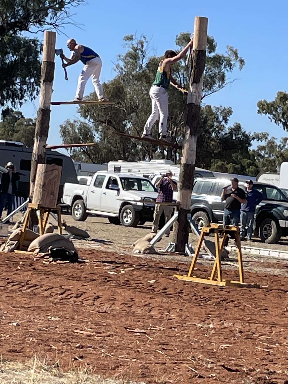 Woodchop wonders in Barmah | Dairy News Australia