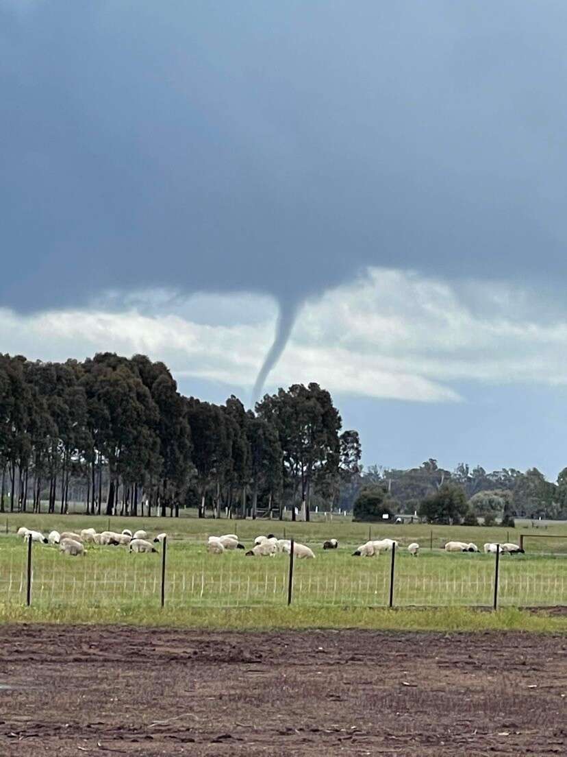Mini tornado formation captured | Deniliquin Pastoral Times