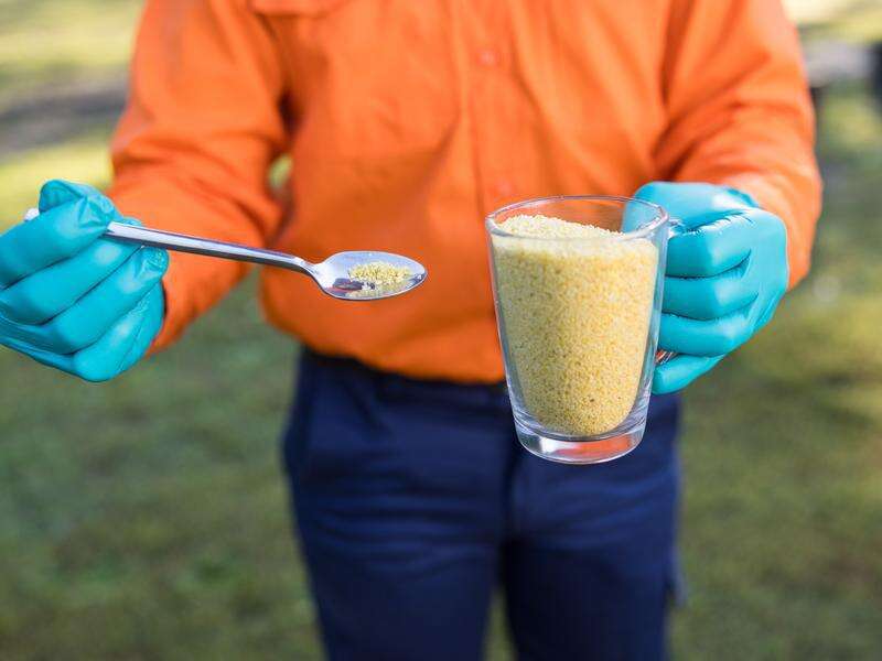 Fire ant eradication refuseniks face sting of the law | Shepparton News