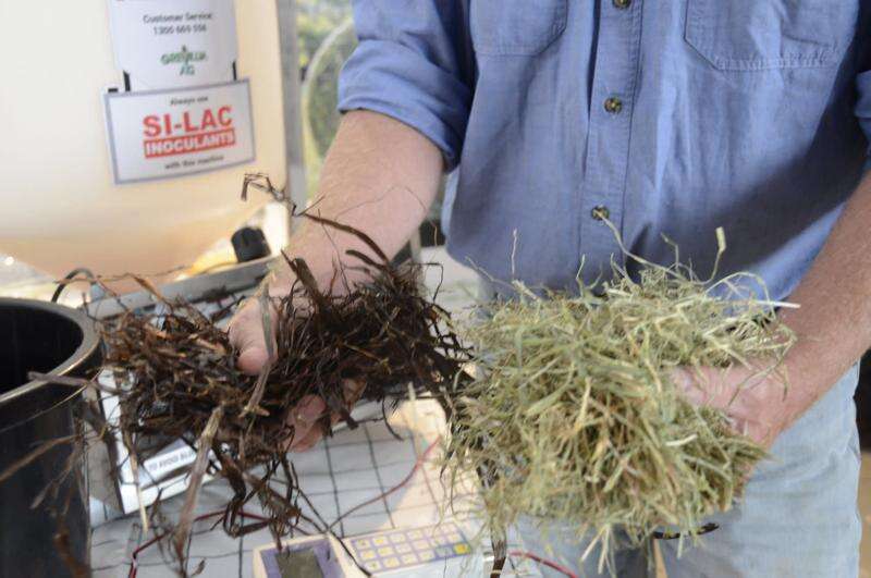 Hay preservatives more important than ever as La Nina continues ...