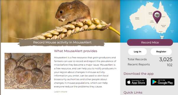 Monitor, report mouse sightings | Country News