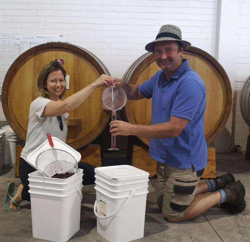 Seymour wine producer tests smoke taint | Country News