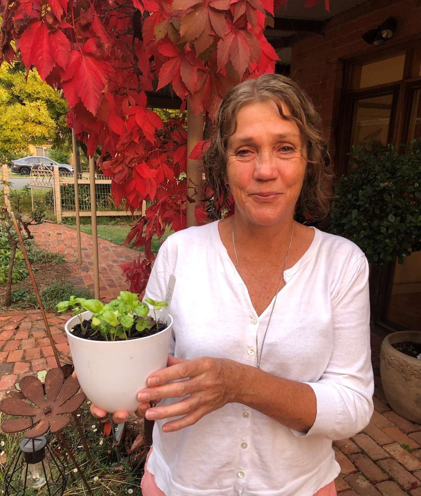 Propogating success with new horticulture course at Finley | Southern ...