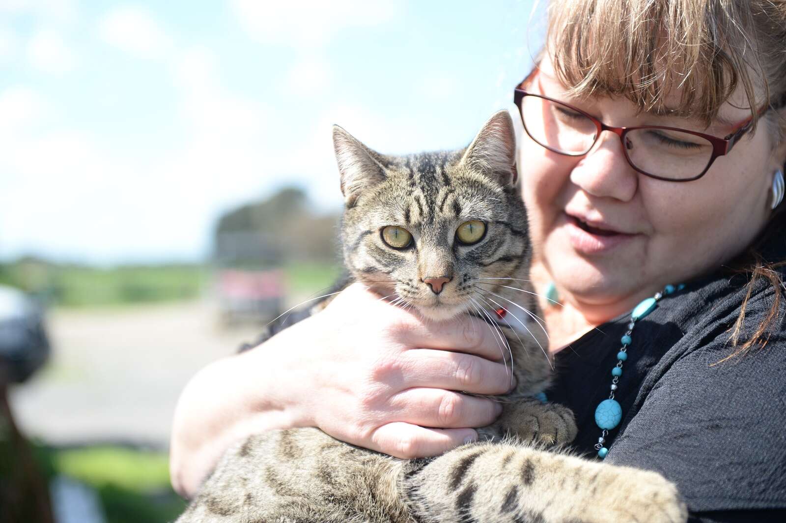 Chilli is a totally chillaxed cat | Shepparton News
