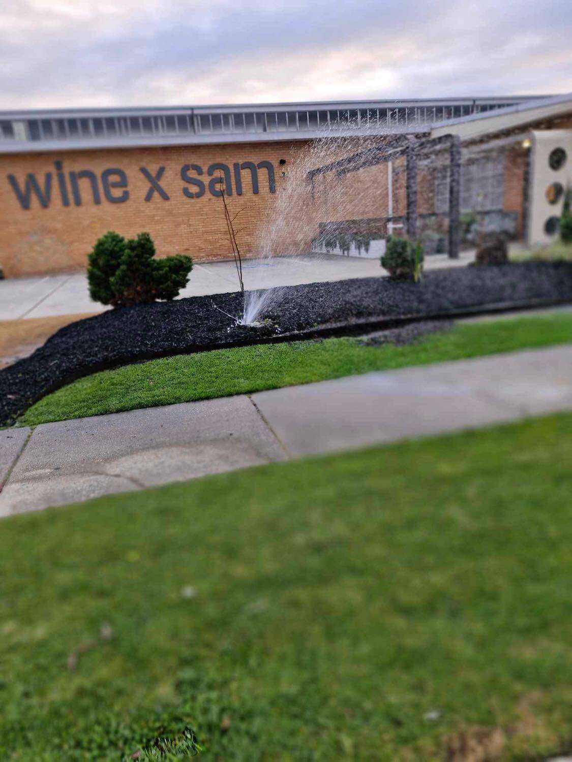 Wine X Sam garden flood sparks community support | Seymour Telegraph