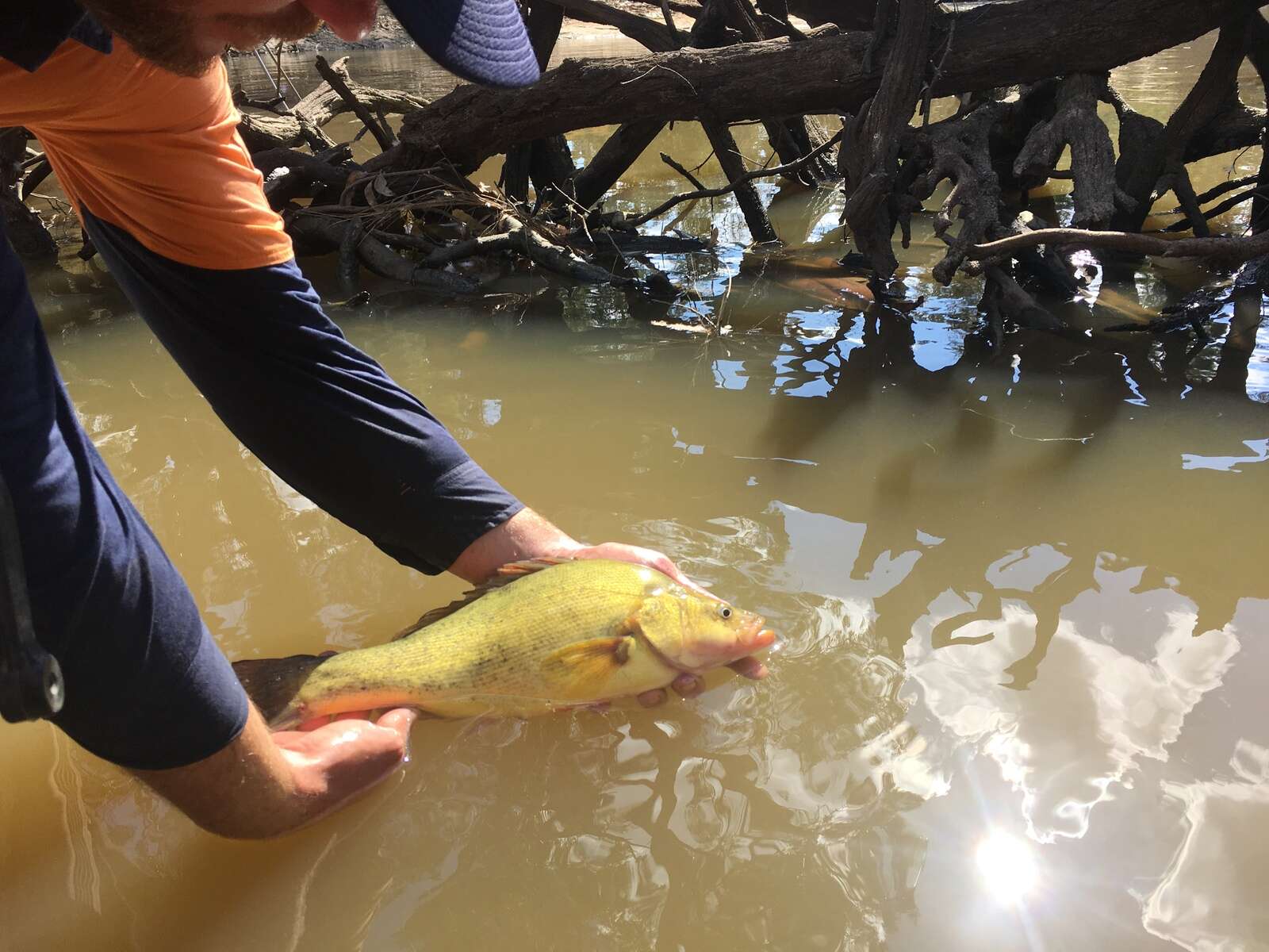 More fish means more fun this summer | Country News