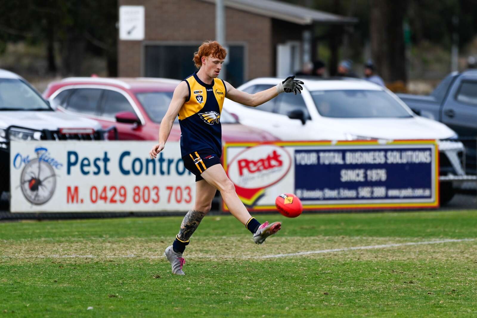 Eagles fall off in second half | Riverine Herald